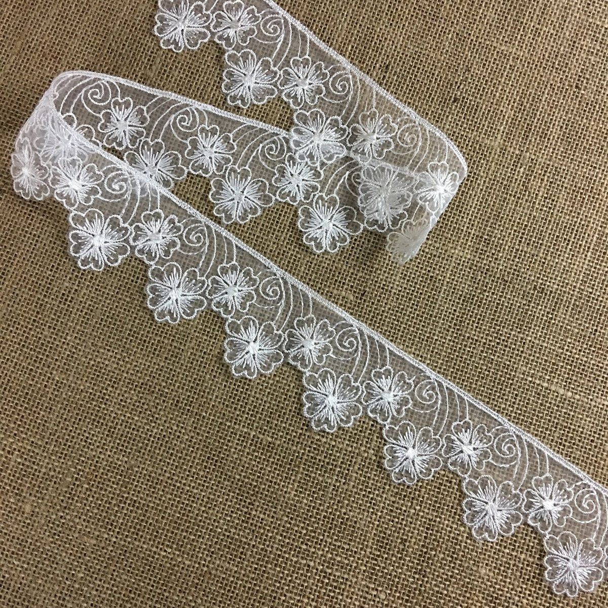 Buy Lace Trim Floral Embroidered Sheer Organza, 2.5